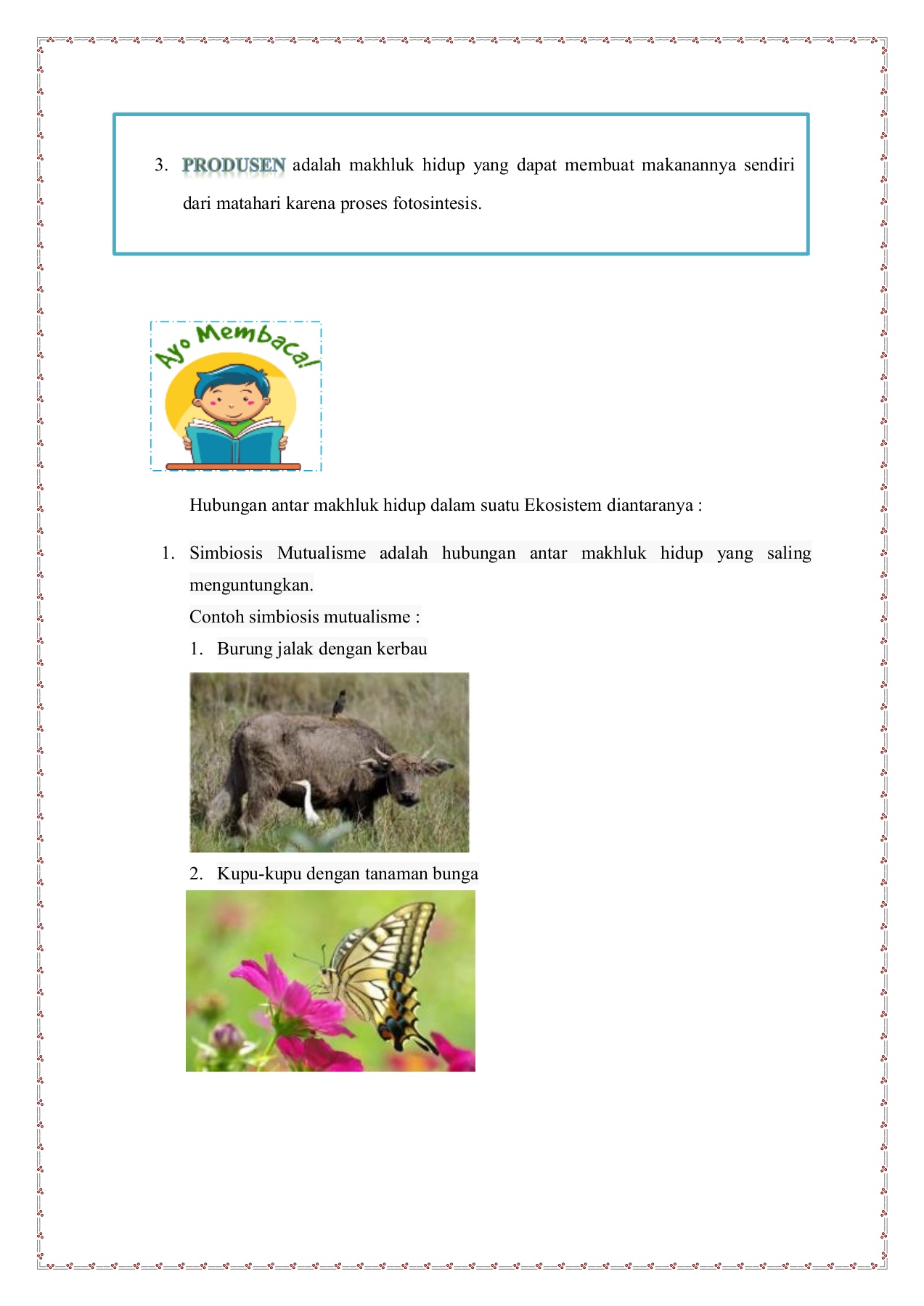 Simbiosis Mutualisme Kerbau Dan Burung Jalak