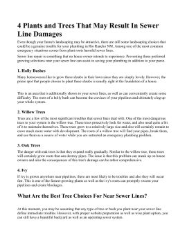 Avoid Sewer Line Damage With These Trees in Rio Rancho - craigsfanpages ...