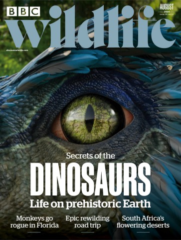 BBC Wildlife