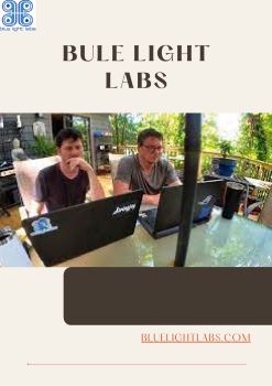 Best Professional Web Design Services in Atlanta | Blue Light Labs - rubyjoseph096 Flip PDF ...