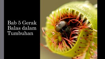 BIO T5 KSSM BAB 5 Gerak Balas dalam Tumbuhan - junjunaidamohamad | Membalik PDF Dalam talian ...