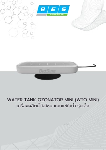 รายละเอียดสินค้า WTO Mini - productspecialist.bes.jd Flip PDF | AnyFlip