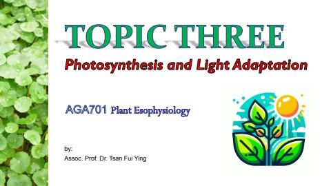 16 AGA701 photosynthesis and light adaptation 5