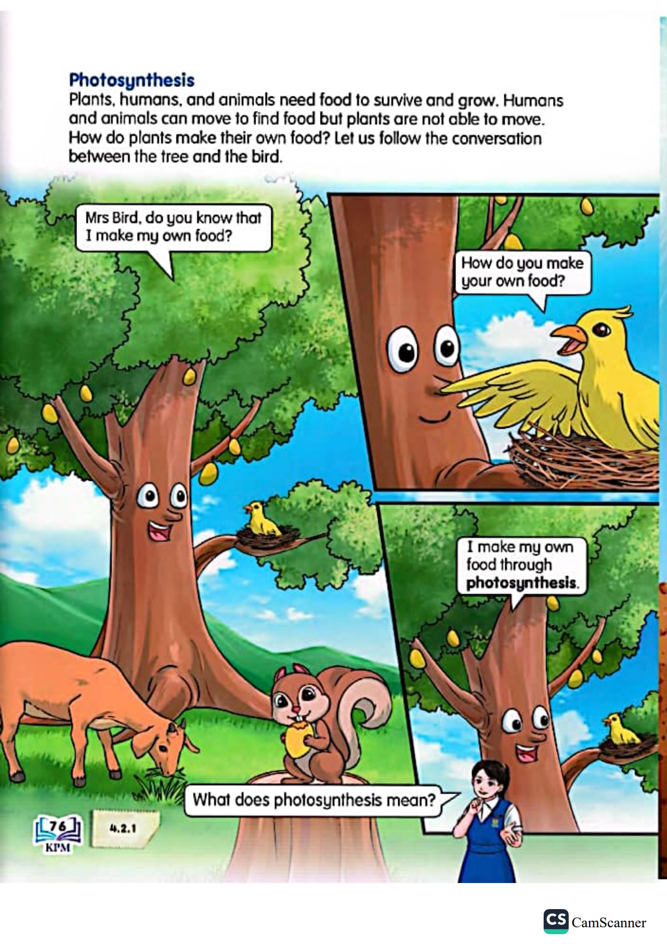 Photosynthesis Comic Strip Examples