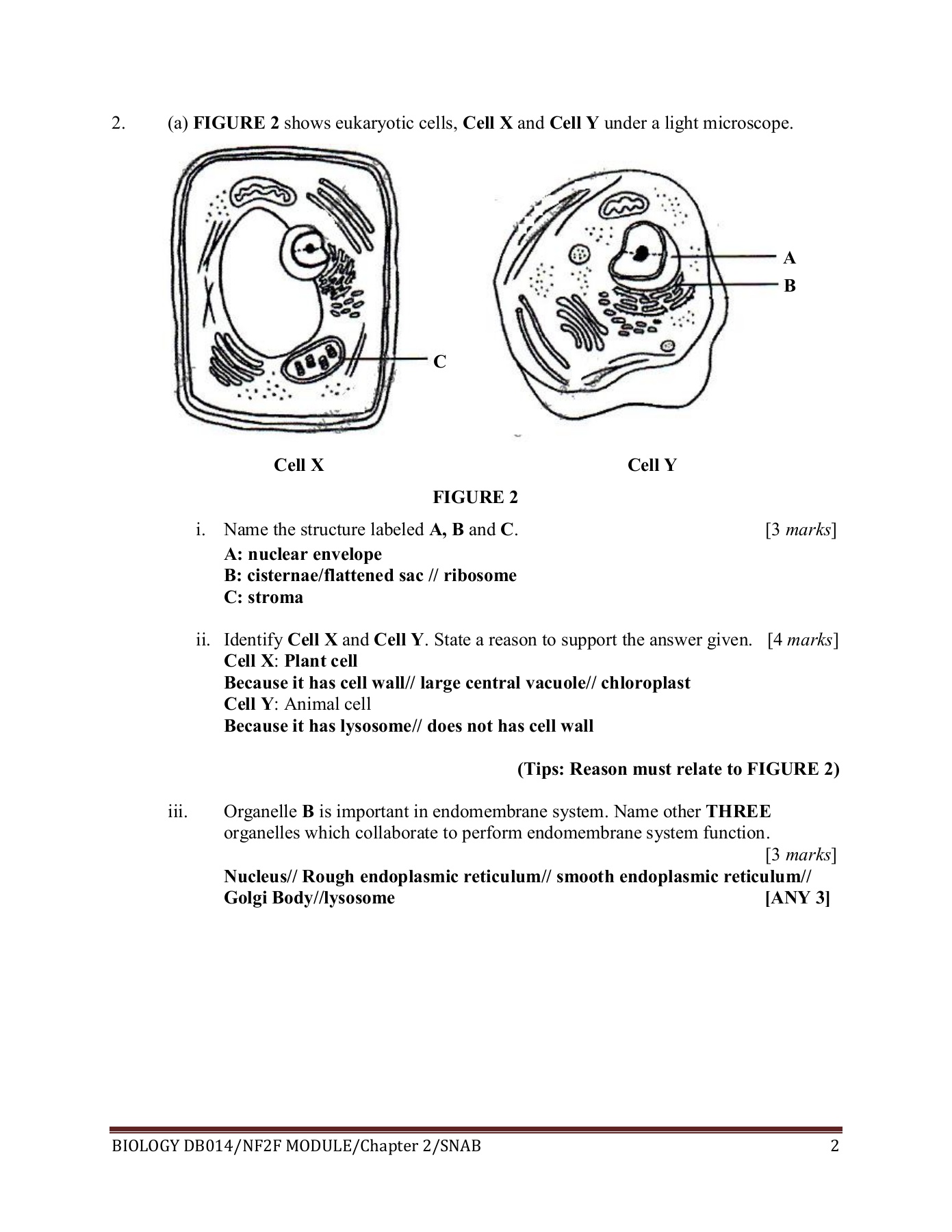 Module 2 Part A Cell Structure