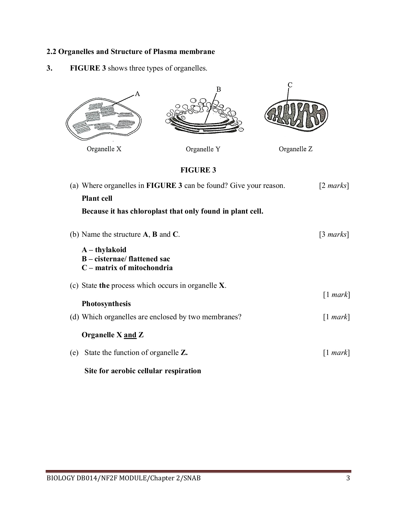 Chapter 2 Cell Structure And Cell Organisation Anjung Chapter 2 : Cell