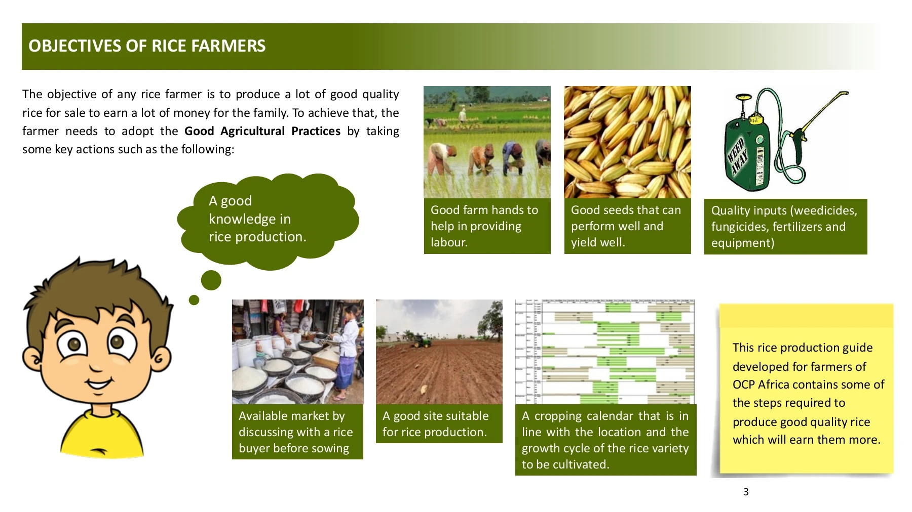 OCP Rice Production Training Manual