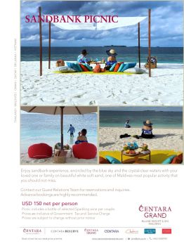 Picnic - F&B promotion & information Flip PDF | AnyFlip