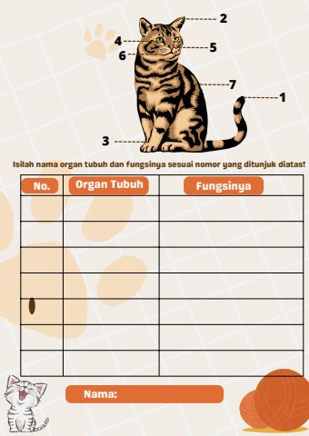 Oranye Cokelat Ilustrasi Infografik Mengenal Kucing Poster ...