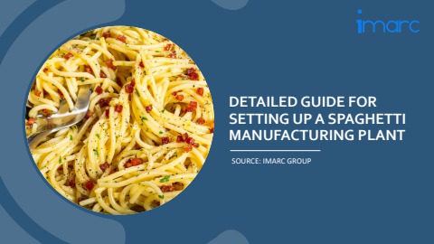 How to Start a Spaghetti Manufacturing Business: Detailed Report