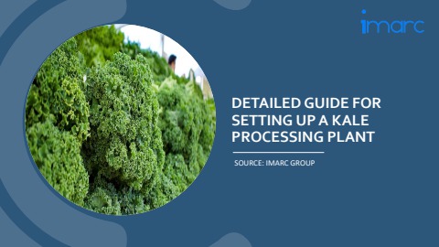 Kale Processing Plant Project Report Cost - Bhuvnesh Kumar Flip PDF ...
