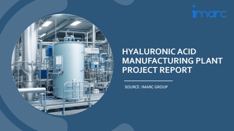 Hyaluronic Acid Manufacturing Plant Cost, Manufacturing Process ...