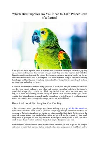 Which Bird Supplies Do You Need to Take Proper Care of a Parrot