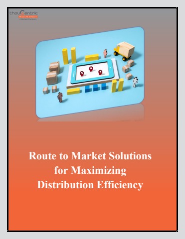 Route to Market Solutions for Maximizing Distribution Efficiency