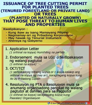 ISSUANCE OF TREE CUTTING PERMIT FOR PLANTED TREES A - region2.ict Flip ...