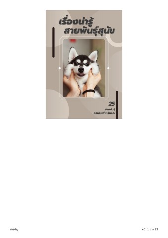 สารบัญ - Fail studio Flip PDF | AnyFlip