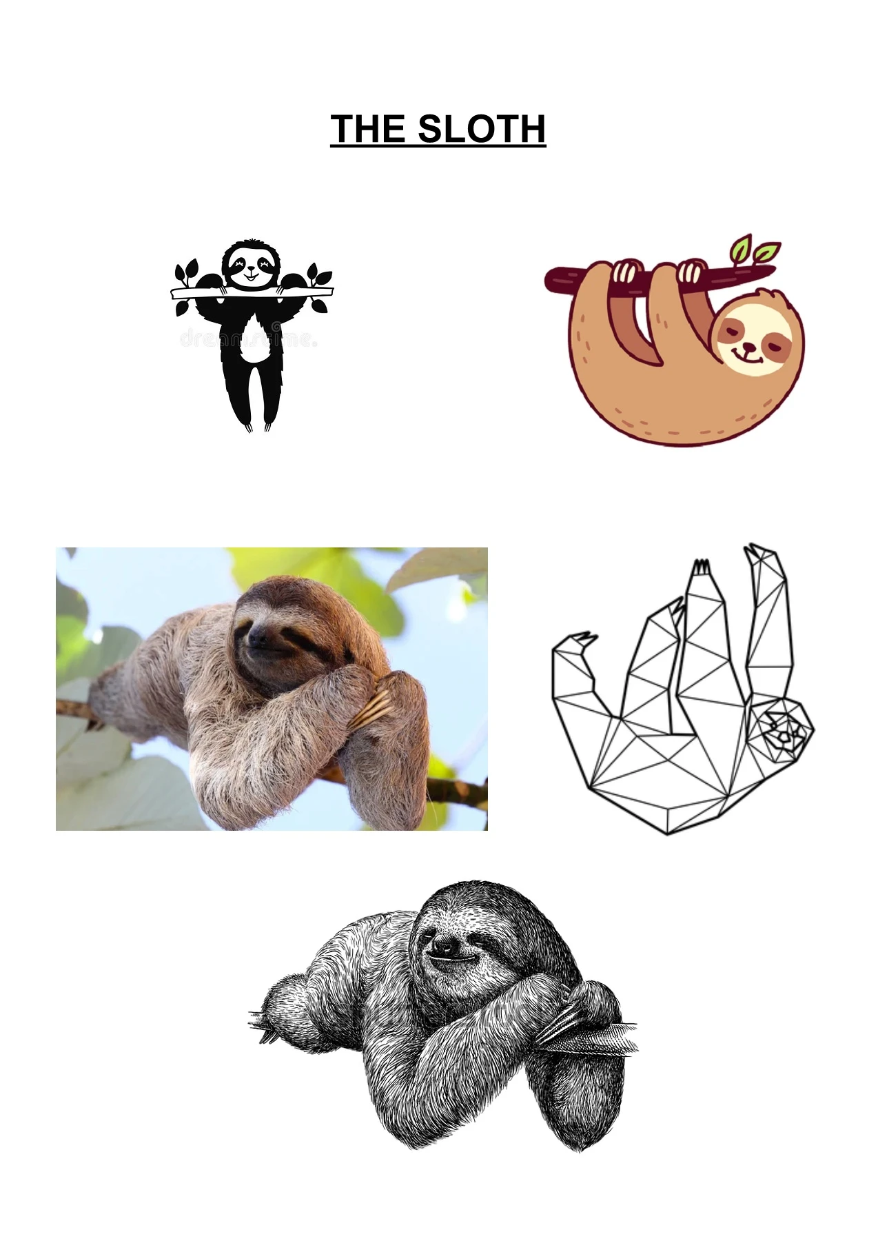 Calm Sloth