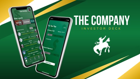 Gaming App Sample Pitch Deck | Plan Writers