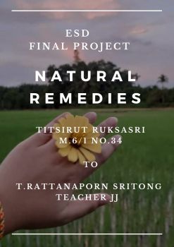 ESD final project - titsirutruksasri Flip PDF | AnyFlip