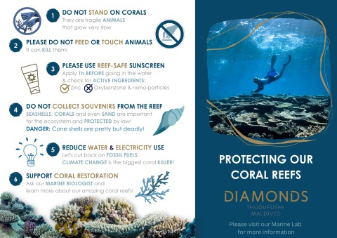 Protecting Our Coral Reef