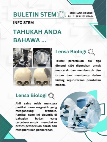 BULETIN STEM - noorsidaabubakar Flip PDF | AnyFlip