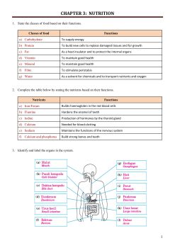 Science F2 - GWEN MS Flip PDF | AnyFlip