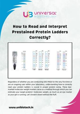 How to Read and Interpret Prestained Protein Ladders Correctly ...