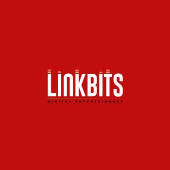 link bits manual - Guset User | Flip PDF en línea | AnyFlip