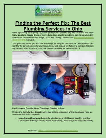 Finding the Perfect Fix: The Best Plumbing Services in Ohio