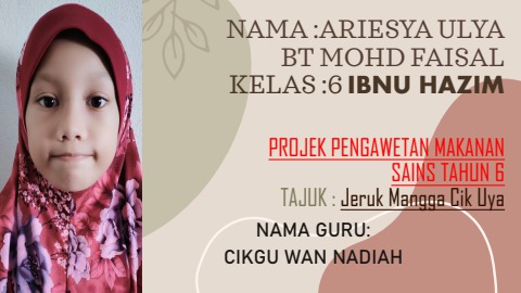 BUKU SKRAP PENGAWETAN MAKANAN ARIESYA ULYA - anis.ariesya Flip PDF ...