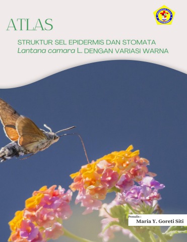 ATLAS STRUKTUR SEL EPIDERMIS DAN STOMATA DAUN Lantana camara L. DENGAN ...