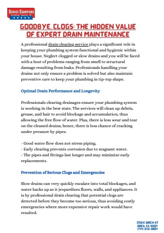 Goodbye, Clogs: The Hidden Value of Expert Drain Maintenance