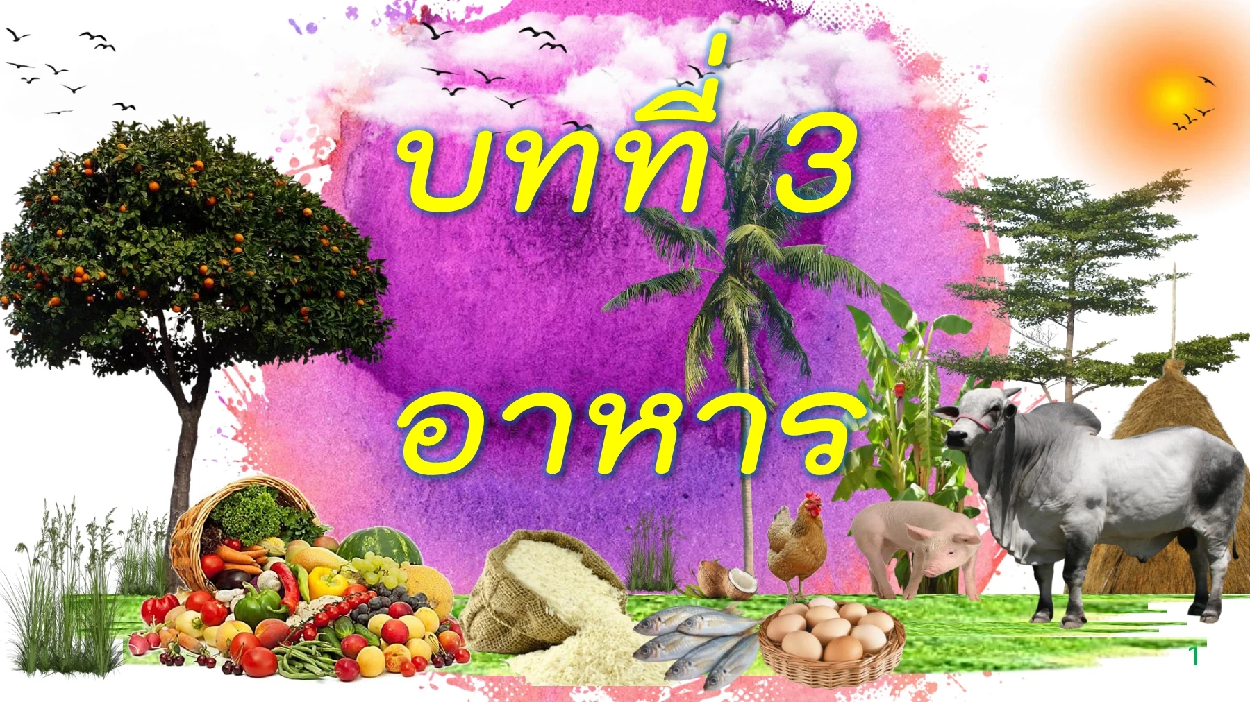3. วิทยาศาสตร์กายภาพ (อาหาร)