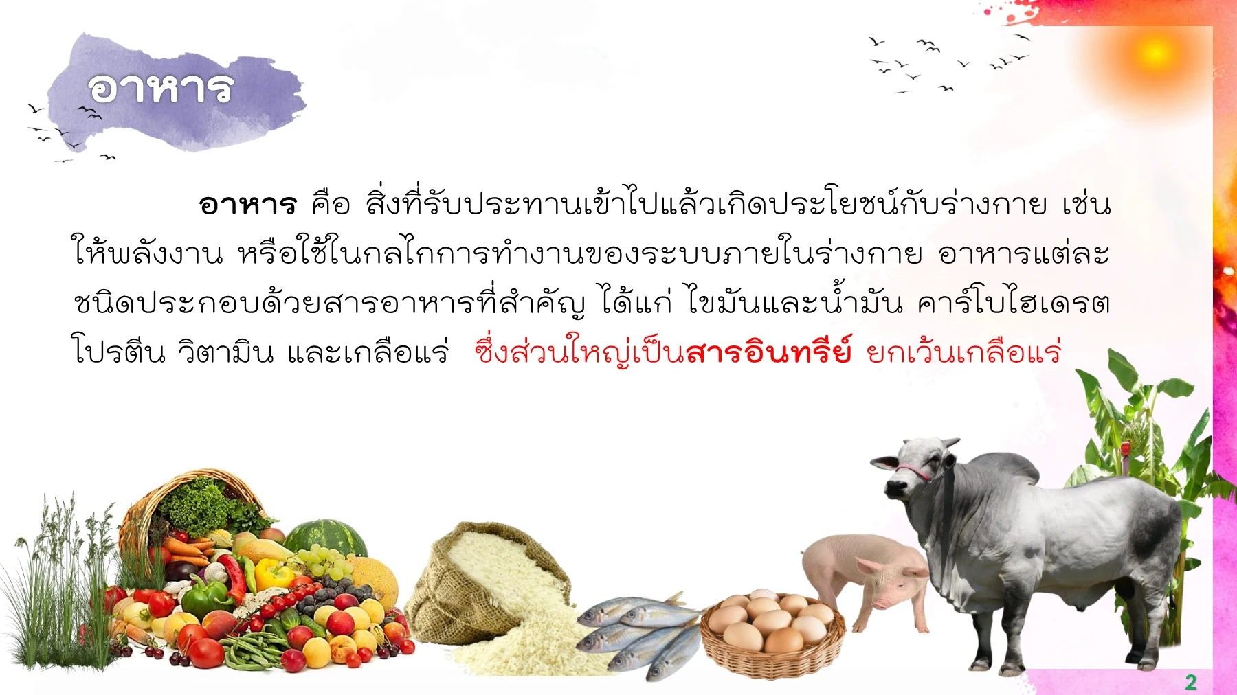3. วิทยาศาสตร์กายภาพ (อาหาร)