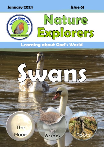 Nature Explorers 61 January 2024 - Nature Observations Flip PDF | AnyFlip