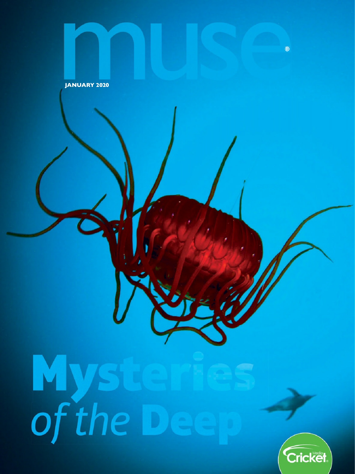 Jellyfish Flip Book Craftivity By Suzanne Welch Teaching