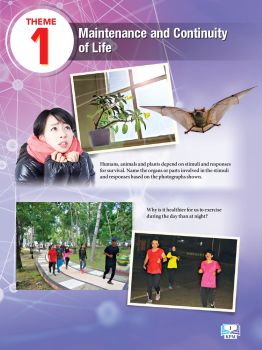 F3_Science Chapter 1 - g-40218211 Flip PDF | AnyFlip