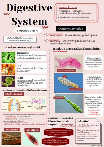 Digestive System - Anutida S. Flip PDF | AnyFlip