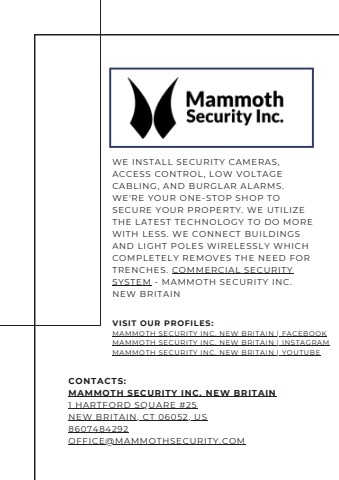Mammoth Security Inc. New Britain