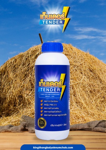 เท็นเดอร์