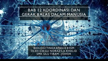BIO_T4_KSSM_BAB_12_Koordinasi_dan_Gerak_Balas_dalam_Manusia_zila - zurhana86 Flip PDF | AnyFlip