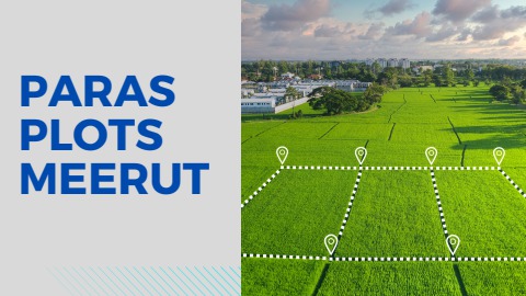 Paras Plots Meerut | Best Residential Plots - real estate Flip PDF ...