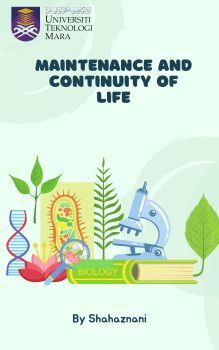 Maintenance and continuity of life - 2020812536 Flip PDF | AnyFlip