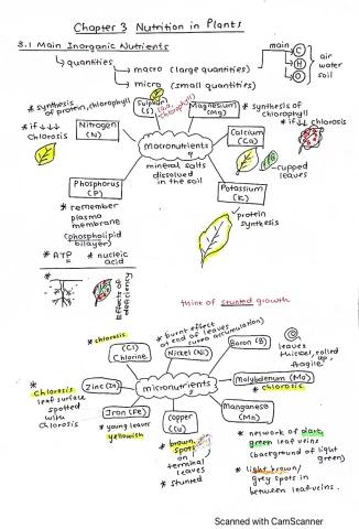 F5 Bio Chapter 3
