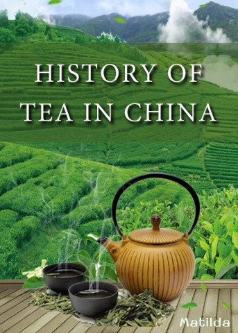 The history of China - Matilda's Bookcases Flip PDF | AnyFlip