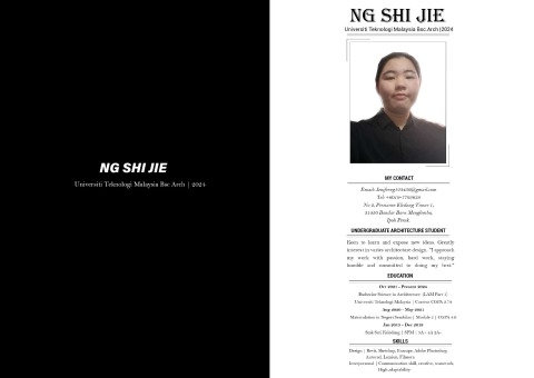 Portfolio Ng Shi Jie