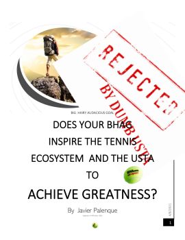 Think Big USTA ! - jpalenque Flip PDF | AnyFlip