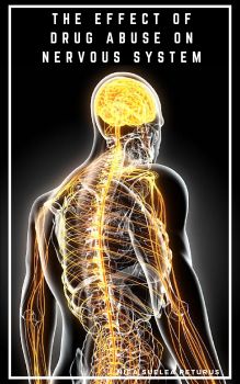 THE EFFECT OF DRUG ABUSE ON NERVOUS SYSTEM