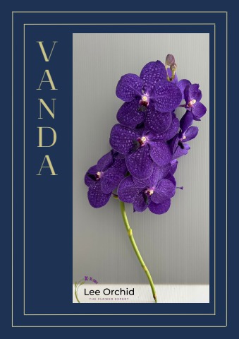 Vanda - LEE & U Co.,Ltd Flip PDF | AnyFlip
