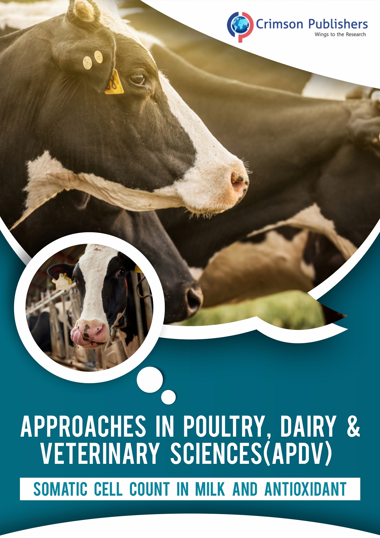 Causes Of High Somatic Cell Count In Dairy Cows - All About Cow Photos